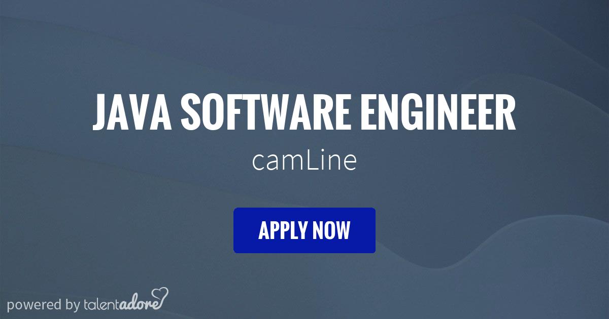 Java Software Engineer | camLine